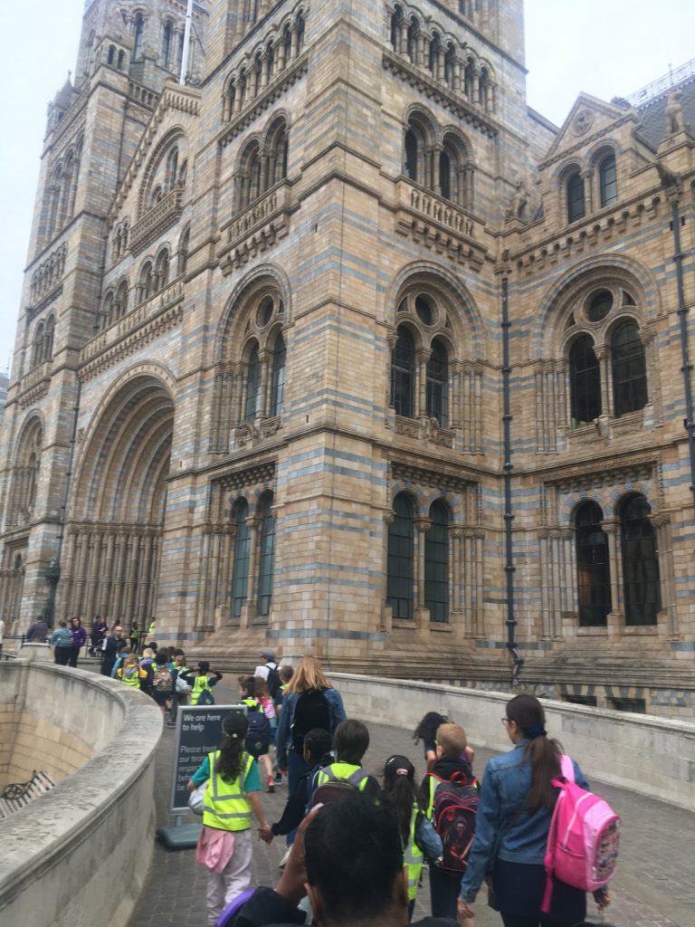 Campsbourne Primary School | Geography
