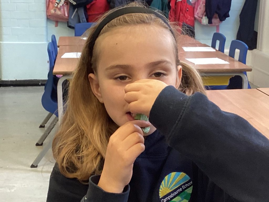 Campsbourne Primary School | Haringey, London